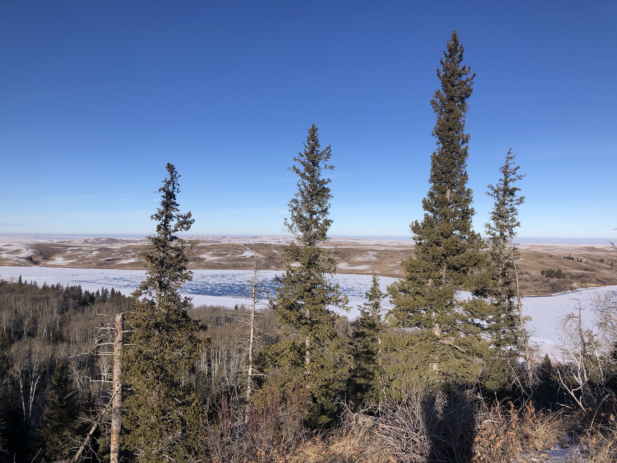 The Ultimate Guide to Winter in Cypress Hills Provincial Park ...