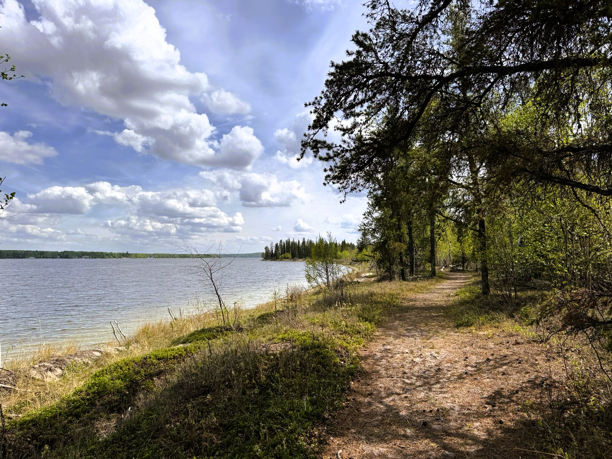 What you'll discover at Moose Lake Provincial Park, Alberta - Northern ...
