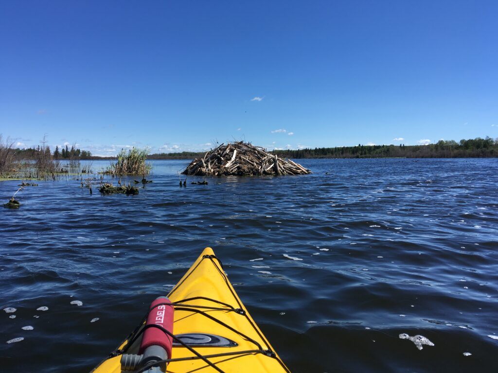What you'll discover at Moose Lake Provincial Park, Alberta - Northern ...