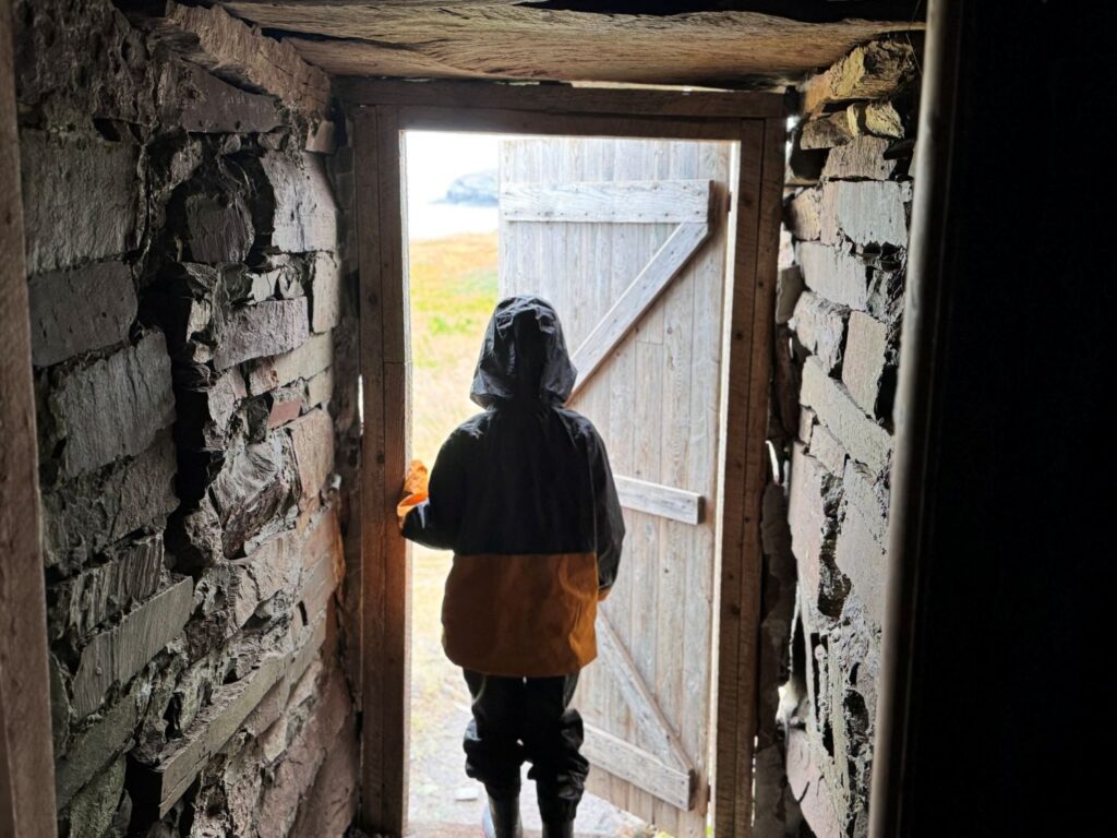 Puffin Viewing in Elliston, Newfoundland: A Complete Guide - Northern ...
