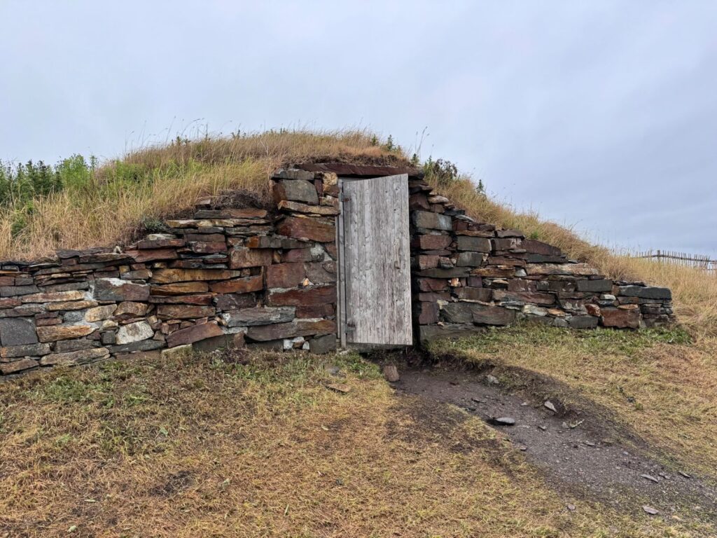 Puffin Viewing in Elliston, Newfoundland: A Complete Guide - Northern ...